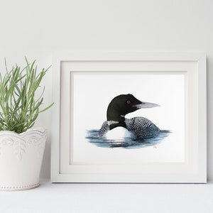 Loon, Original Waterbird Watercolor Art Print 8x10, by Shirley ...