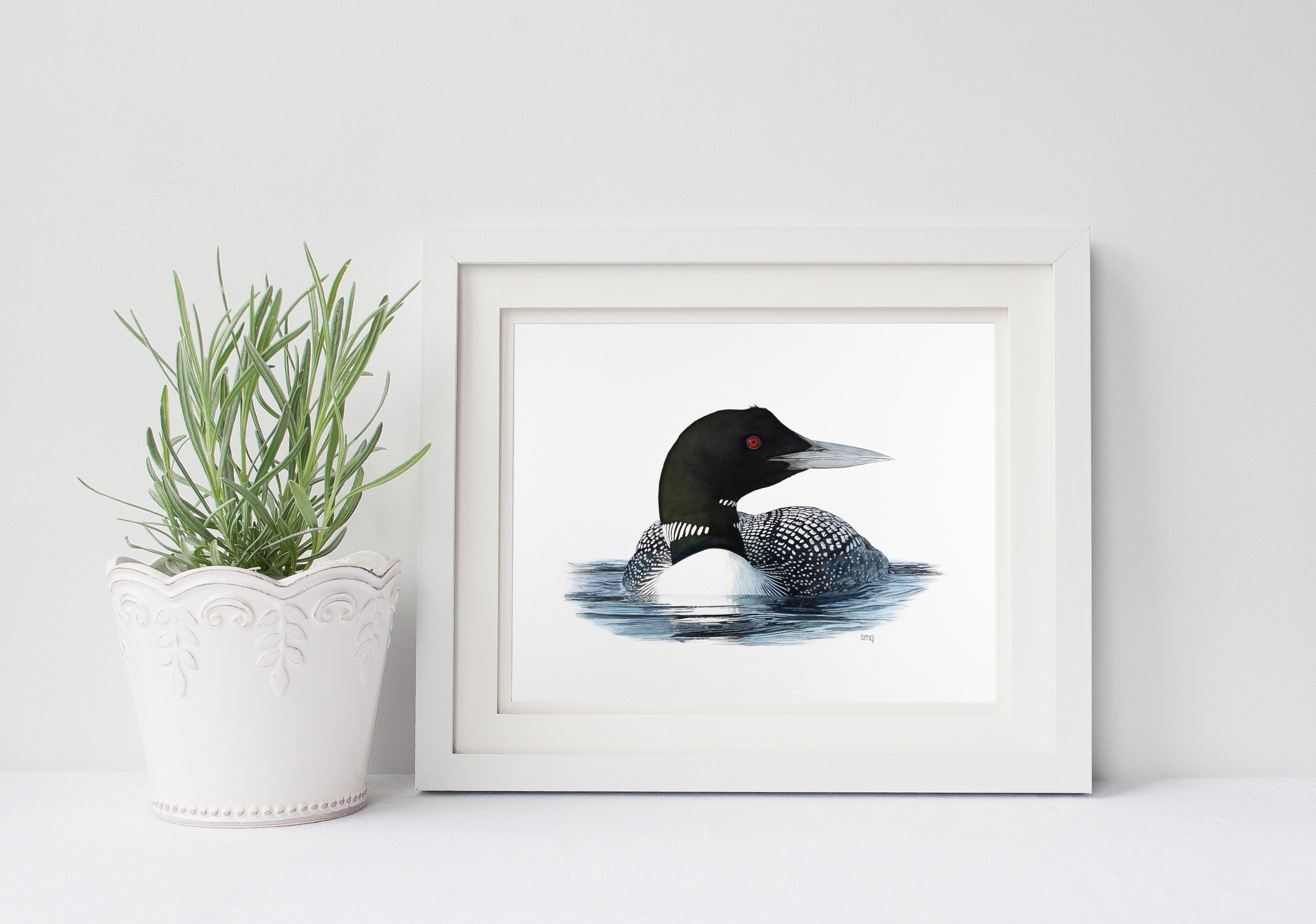 Loon, Original Waterbird Watercolor Art Print 8x10, by Shirley ...