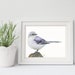 Northern Mockingbird Print 8 X 10 of Watercolor Painting 8" by 10" by ...