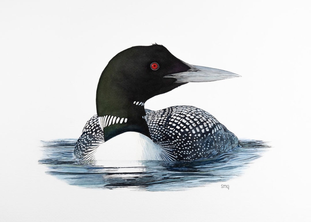 Loon Original Watercolor Art Print 5x7 Inches, by Shirley Greenville ...