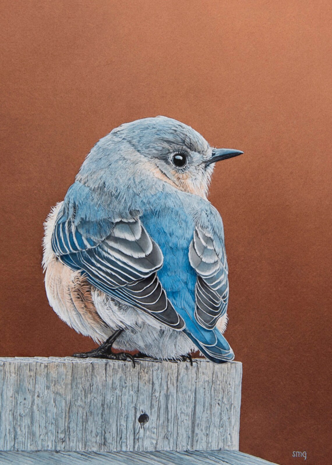 Bluebird Print 5x7 of Watercolor Painting 5 by 7 by Shirley - Etsy