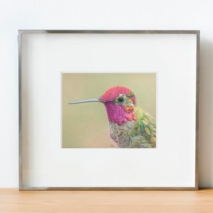 Anna's Hummingbird Print 8 X 10 Inch of Watercolor Painting 8 by 10 by ...
