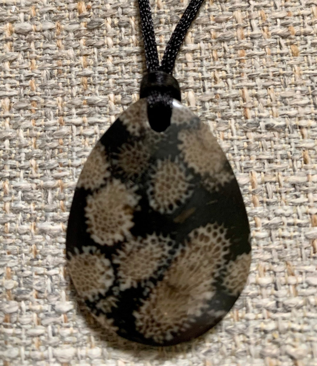 Bryozoa or Cladapora Crafted From Stone Found Michigan. Teardrop 1-1/2 ...