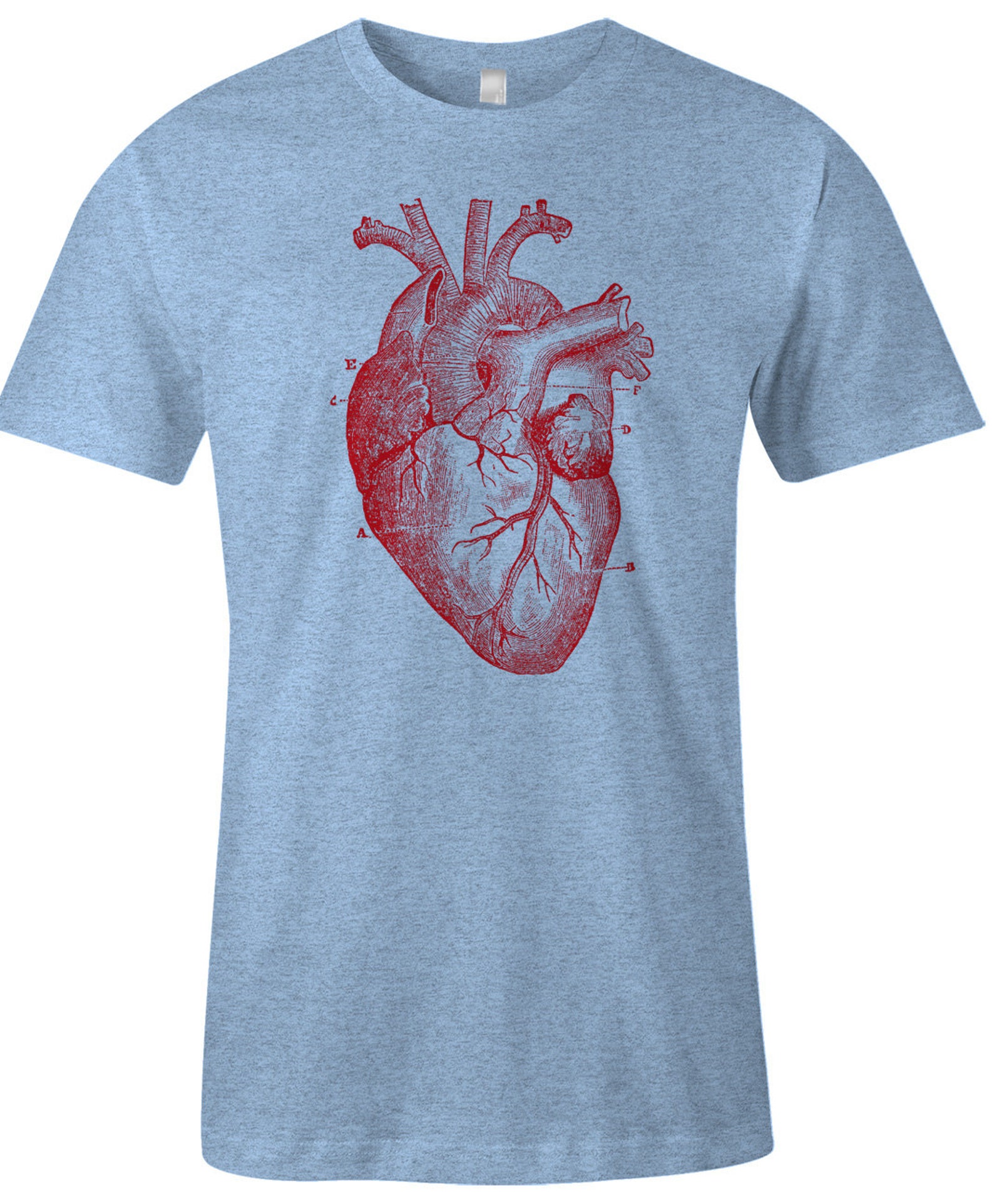 Human Heart T Shirt Heart Anatomy Diagram T-shirt Item - Etsy