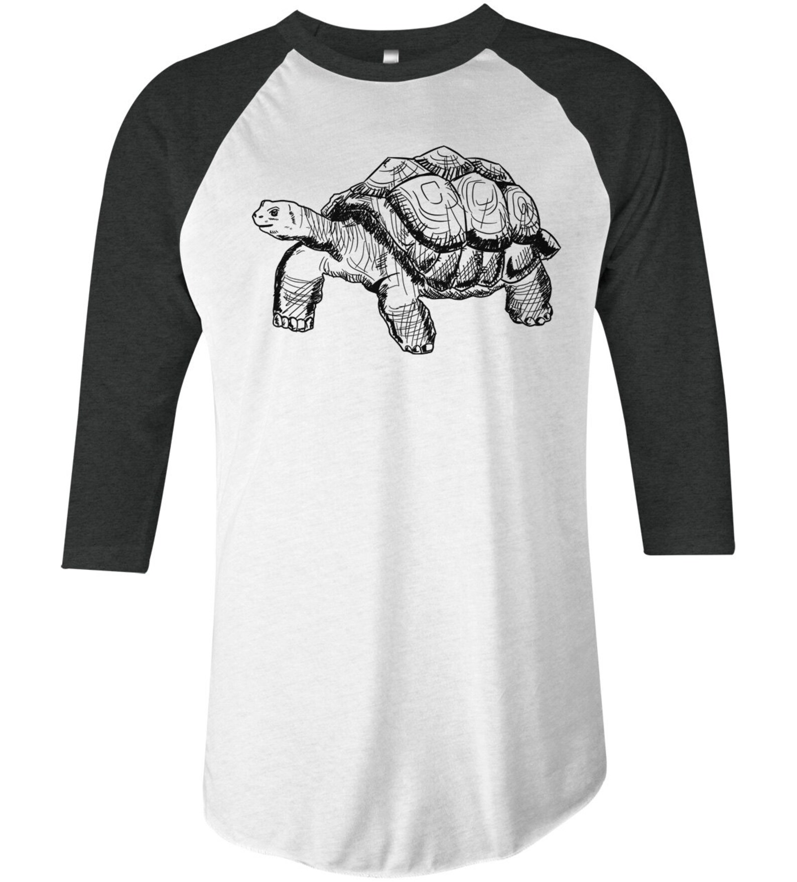 Turtle T Shirt Tortoise Tee Shirt Land Turtle Tee - Etsy