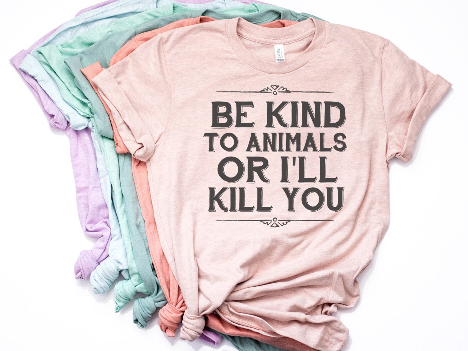 Animal Rescue Animal Rights Shirt Vegan Shirt Be Kind to | Etsy