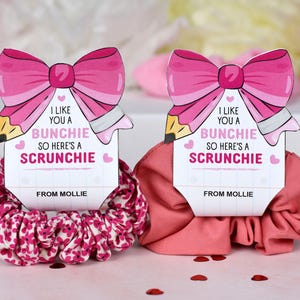Printable Kids Valentines Scrunchie Holder | Class Mates Gift ...