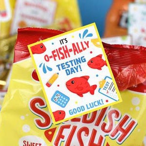 Printable Test Day Candy Grams: Motivational Cards & Gift Tags (digital ...