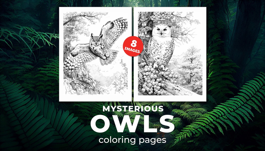 Mysterious Owls - 8 Coloring Designs - Coloring Pages Printable - Etsy