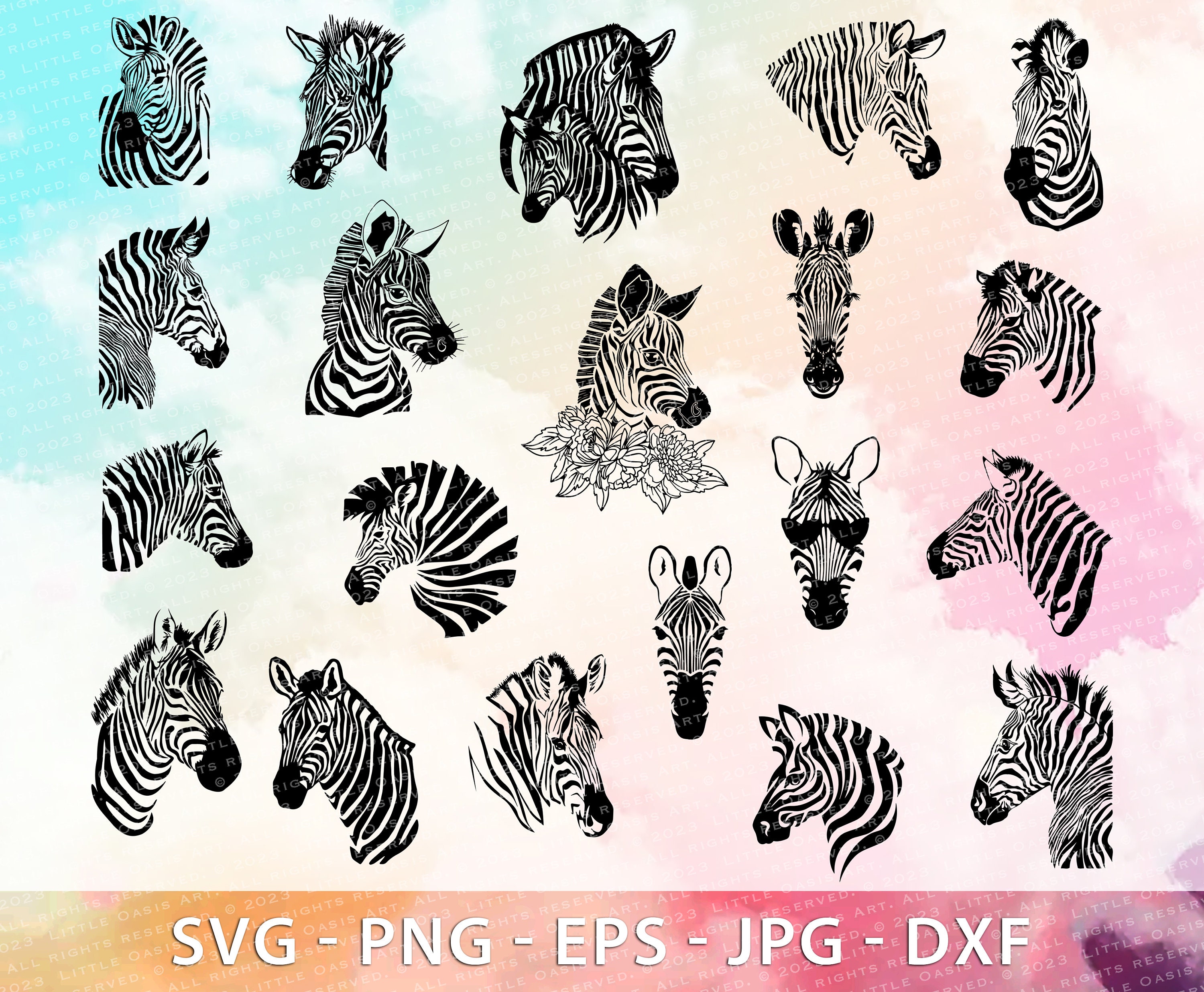 Zebra SVG, Zebra Bundle | Cricut Cut File | Machine Cut | Cricut ...