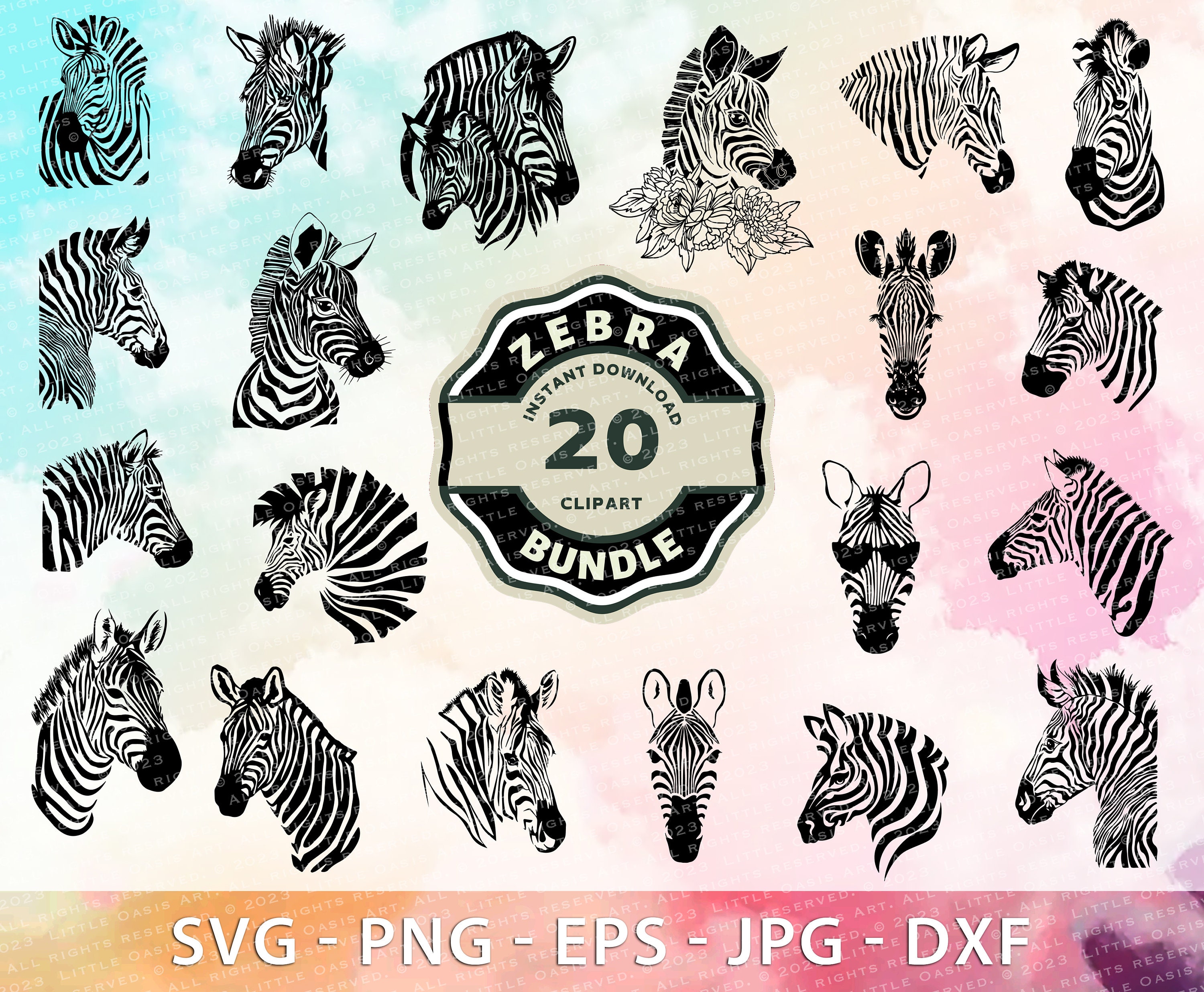 Zebra SVG, Zebra Bundle | Cricut Cut File | Machine Cut | Cricut ...