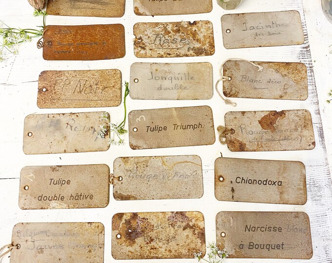 Three Vintage French Metal Rose/plant Labels - Etsy