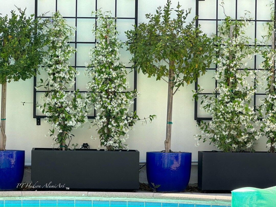 Large Planter Boxes, Outdoor or Indoor, Metal, Multi Size Non Rusting ...