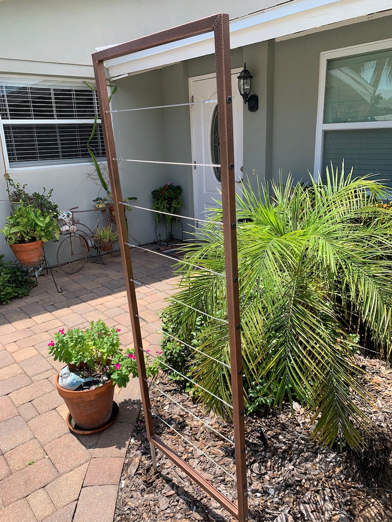 Trellis Stainless Steel Wire Modern Metal Frame Wall Mount - Etsy