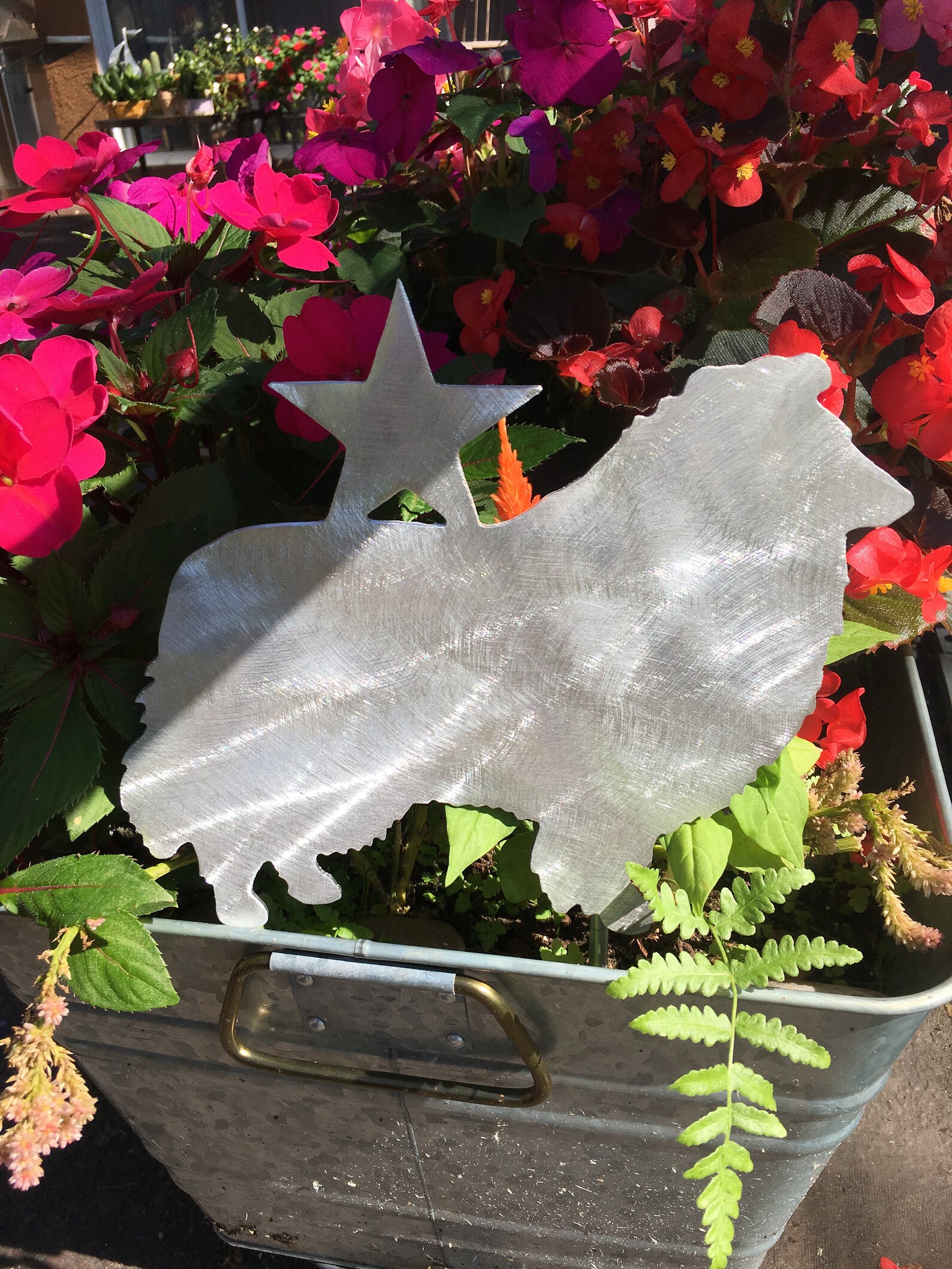 Rough Collie Star Yard Stake Garden Decoration Metal Dog - Etsy