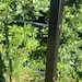 Trellis, Stainless Steel Wire, Modern, Metal Frame, Wall Mount or ...