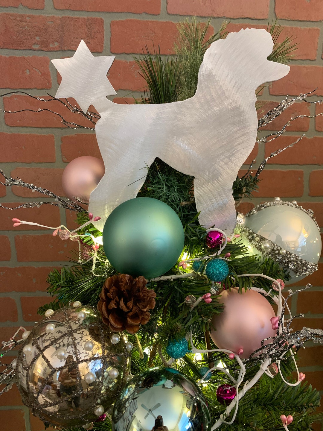 Standard Poodle, Poodle, Jewish Star, Star of David, Sport Cut, Dog ...