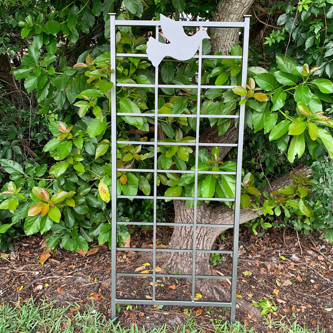 Decorative Metal Garden Trellis With Dove Plant Trellis - Etsy