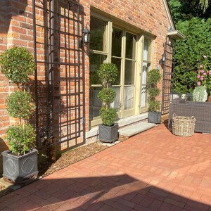 Jumbo Trellises, Multiple Sizes, Classic Metal Garden Trellis ...