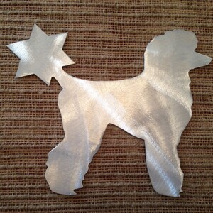 Standard Poodle, Poodle, Jewish Star, Star of David, Sport Cut, Dog ...