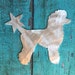 Poodle, Standard Poodle, Miniature, Dog Tree Topper, Decoration, Wreath ...