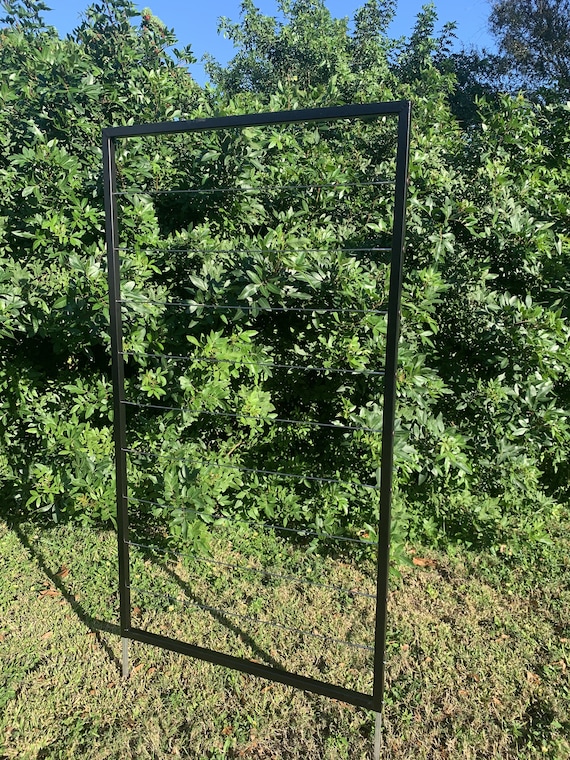 Stainless Steel Plant Trellis
