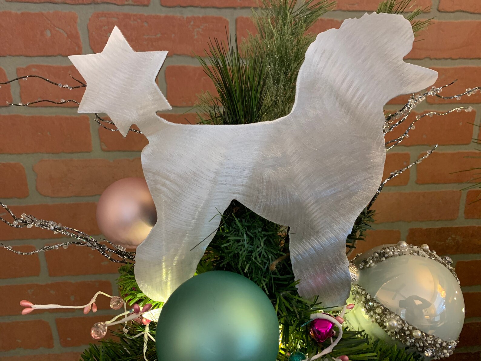 Standard Poodle Poodle Jewish Star Star of David Sport - Etsy