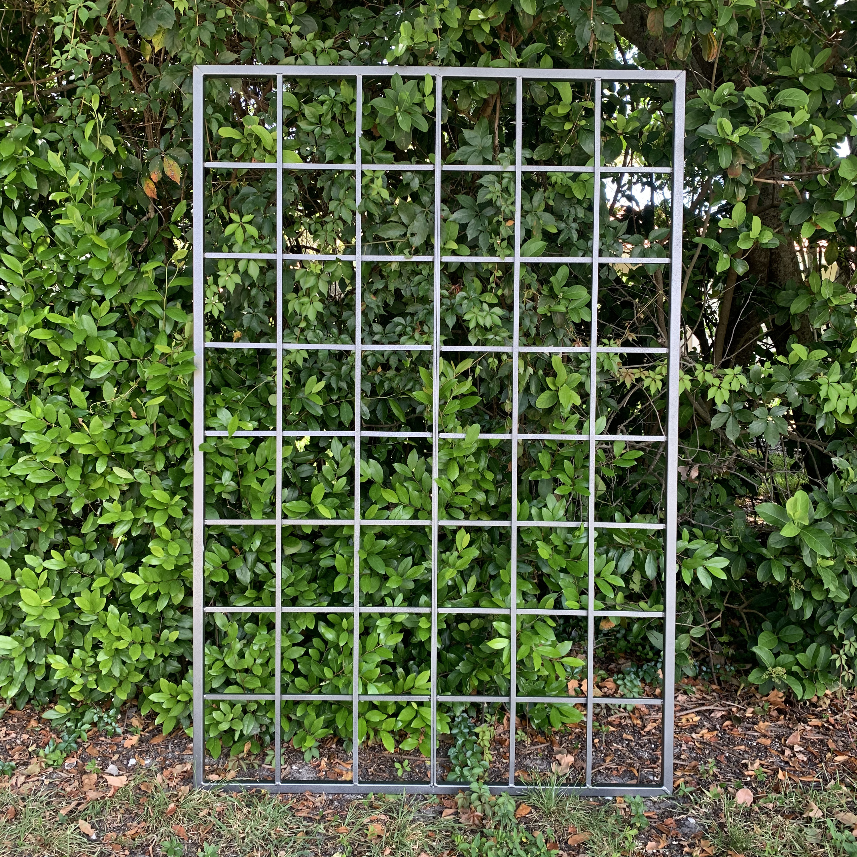 Jumbo Trellises, Multiple Sizes, Classic Metal Garden Trellis ...