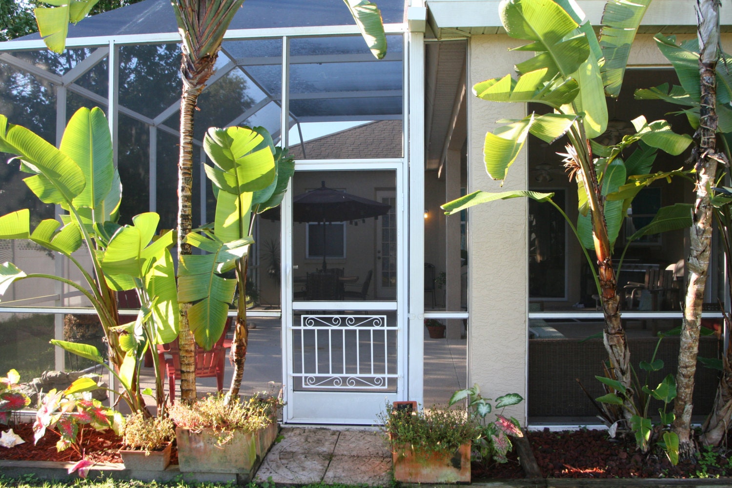 Screen Door Grille, Cottage Collection, Decorative, Protective, Mini ...