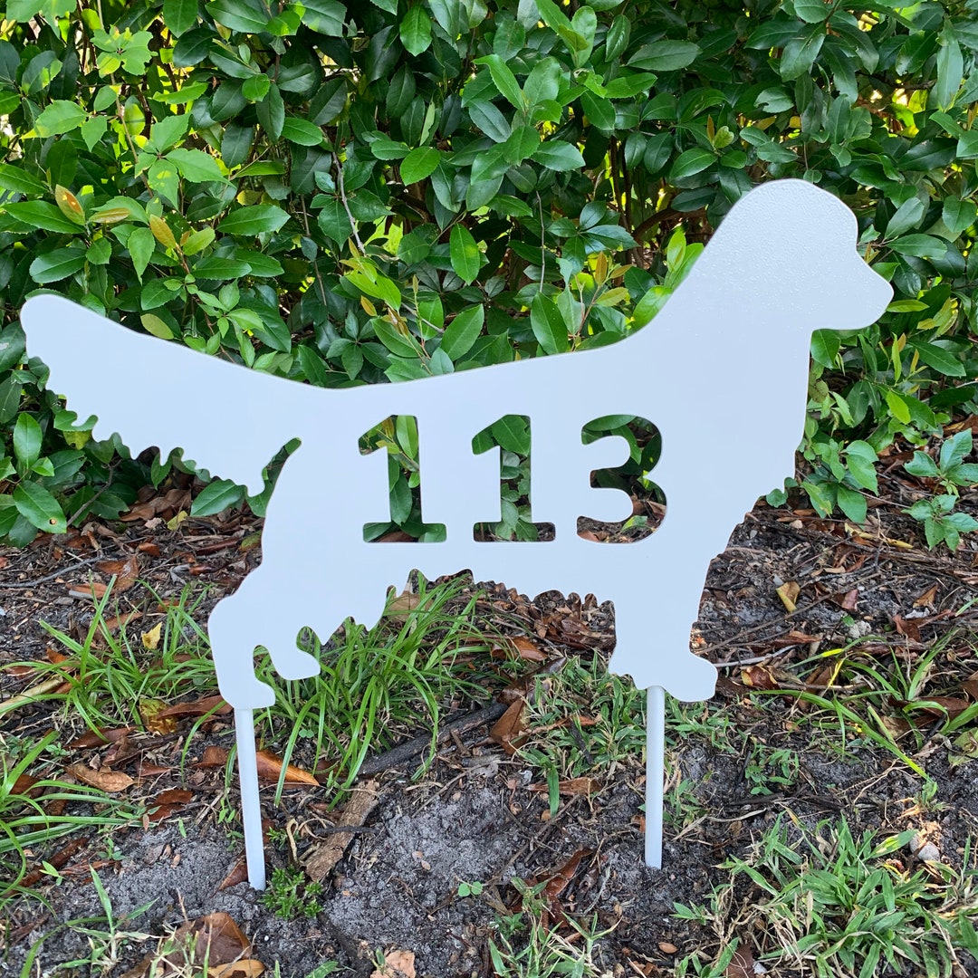Golden Retriever, Unique and Beautiful House Number Sign, Dog ...