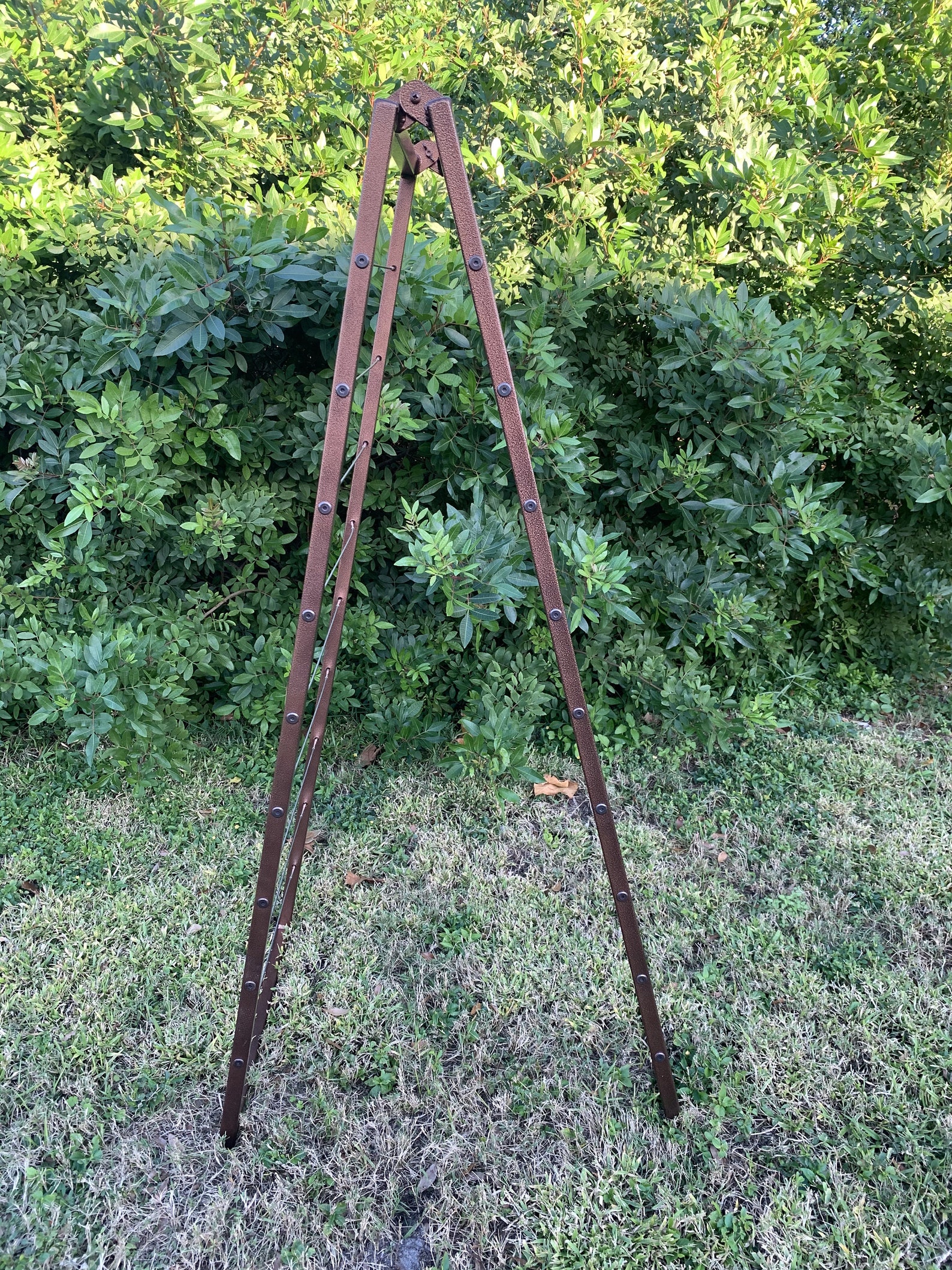 A-frame, Clean, Modern Trellis, Stainless Steel Wire, Aluminum Metal ...