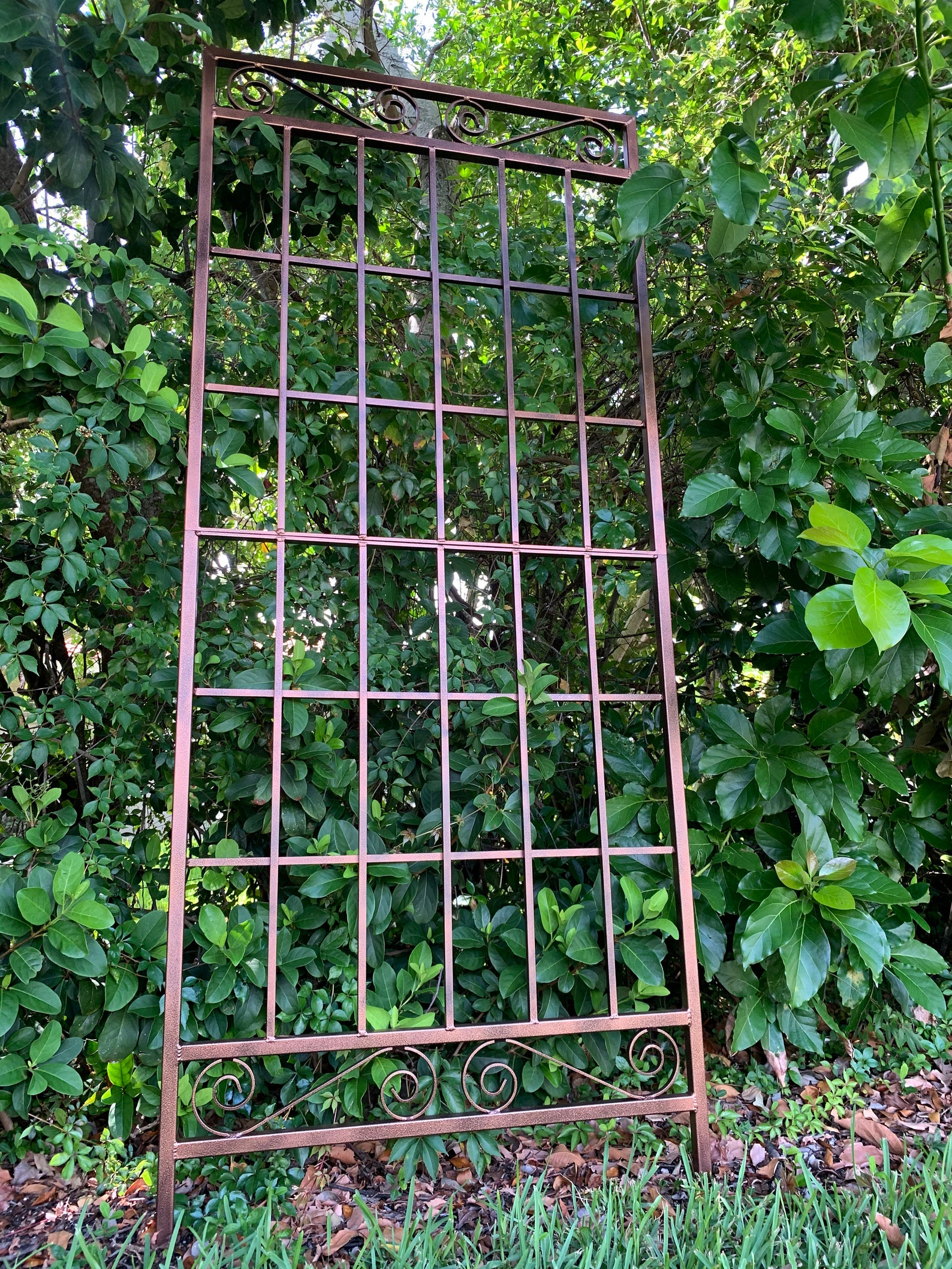 Garden Gate Style, Metal Scroll Trellis, 7ft H X 3ft W, Large, Classic ...
