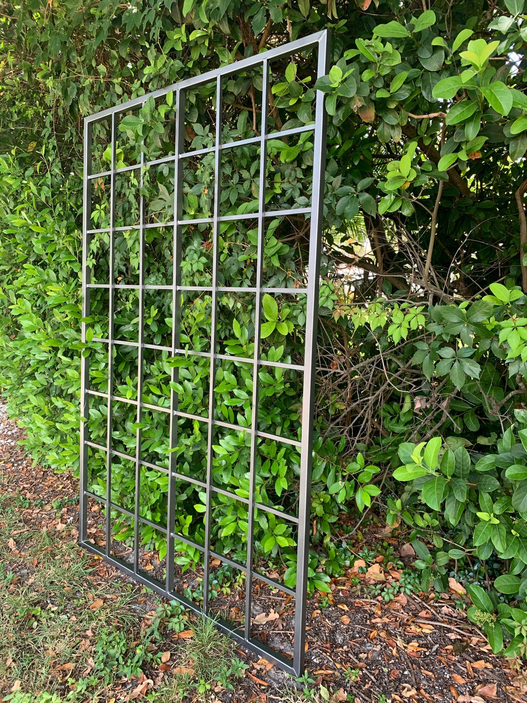 Large Multi Sizes, Classic Metal Garden Outdoor Trellis, Wall Mounted ...