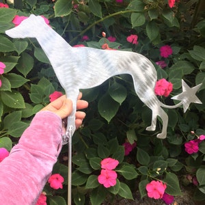 Greyhound, Dog, Star, Silhouette, Metal, Christmas Tree Topper, Wall ...