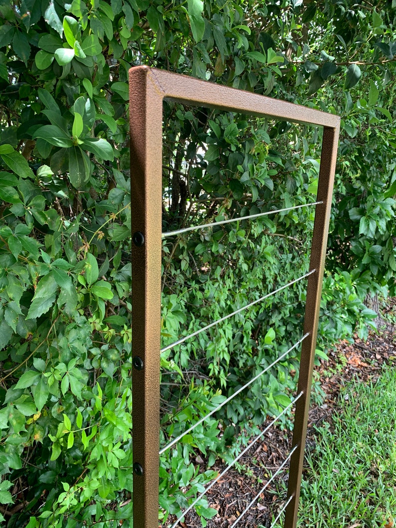 Clean and Modern Trellis, Metal Frame, Stainless Steel Wire, Wall Mount ...
