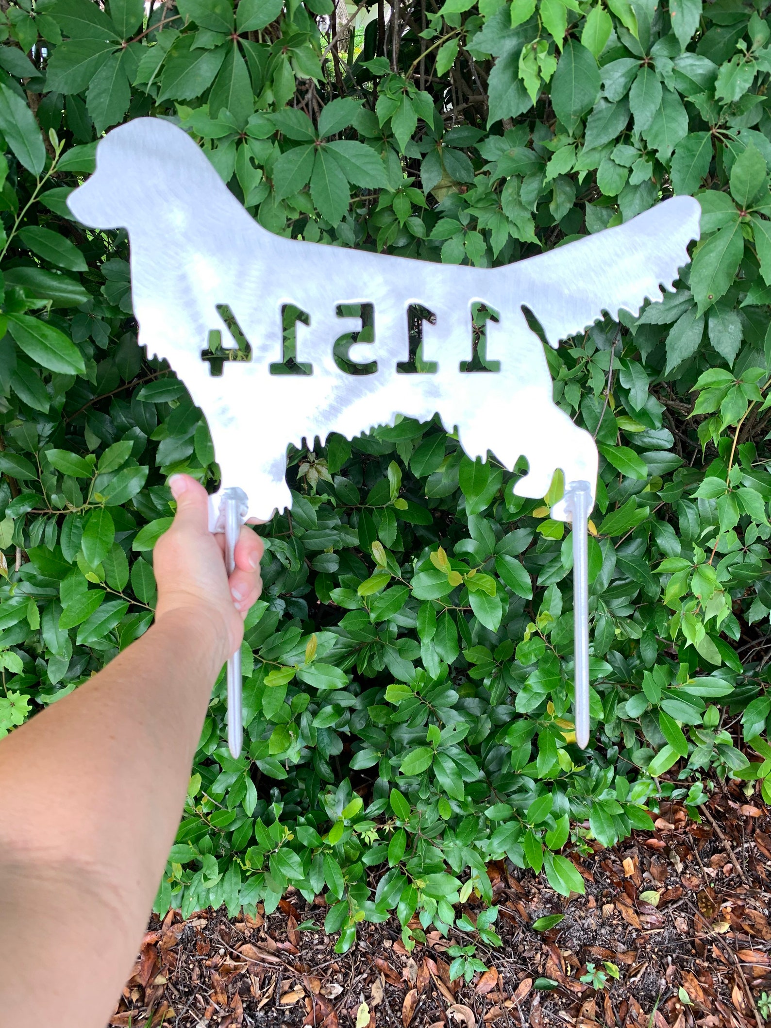 Golden Retriever, Unique and Beautiful House Number Sign, Dog ...