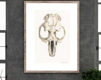 Muskrat Art Print - Etsy