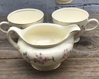 Eggshell Nautilus Usa | Etsy