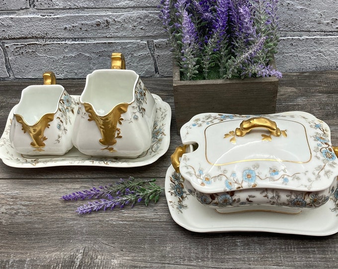 RARE ANTIQUE Haviland & Co. Limoges Porcelain Schleiger 944 Pattern ...