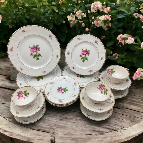 Rose Pattern China - Etsy