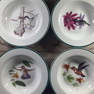 Vintage National Wildlife Federation HUMMINGBIRD Motif Green Rim Dinner ...