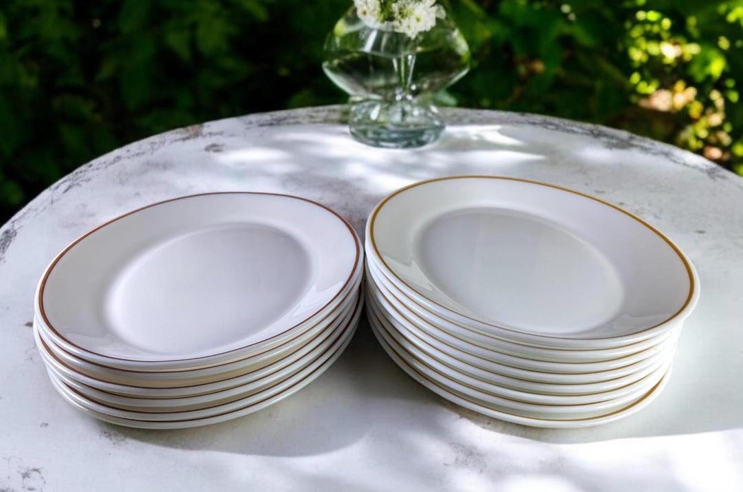 TWO Vintage ARCOPAL Restaurant China 10" Oval Plates W/ Brown Rim White ...