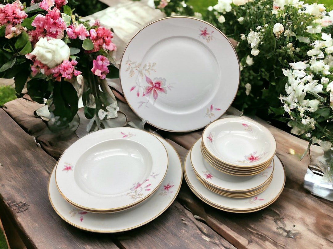 RARE 1950s Rosenthal Selb-plossberg China #1357 ~orchid / Aida Pattern ...