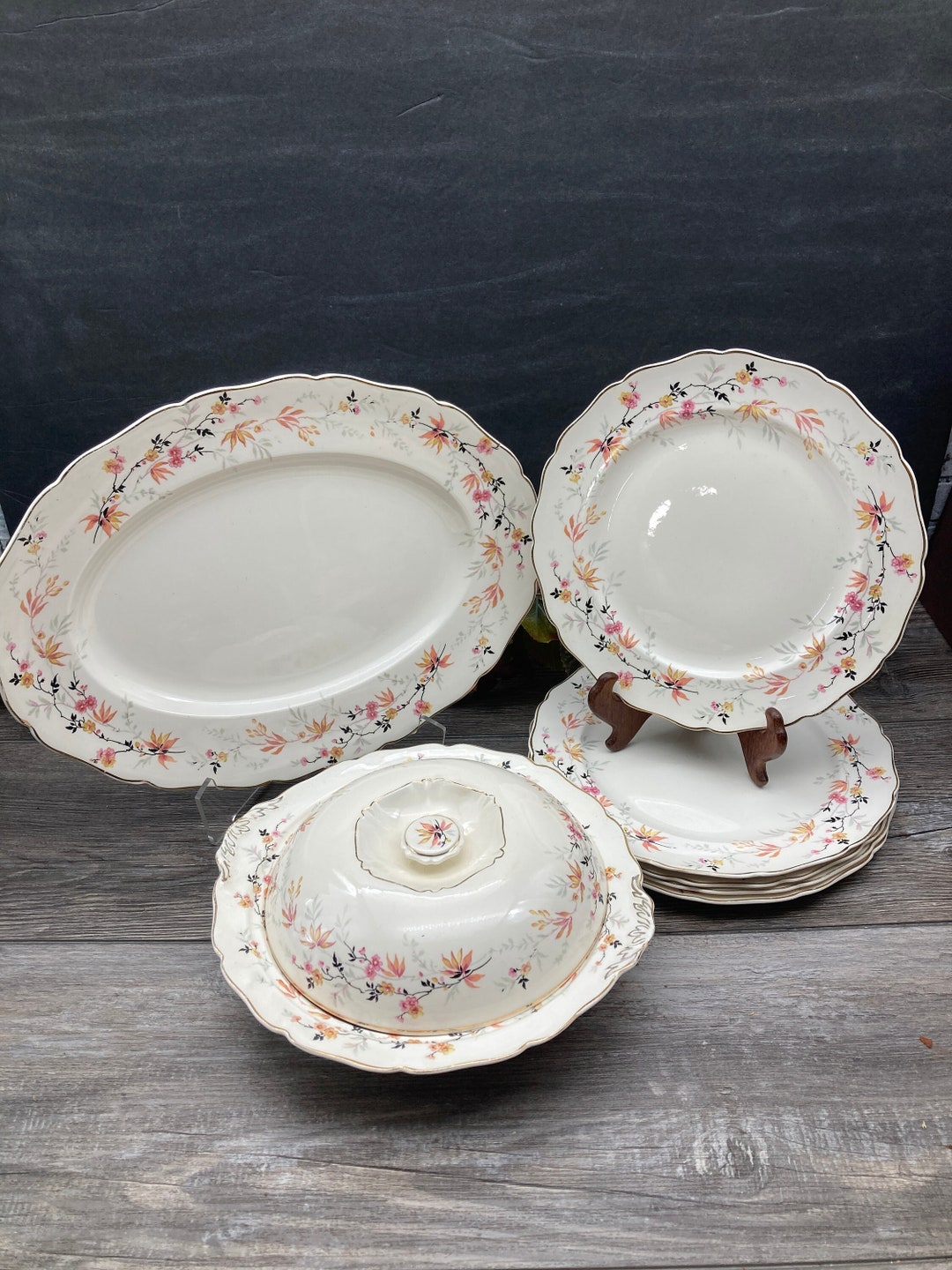 Rare Canonsburg Pottery Company Pattern~ Platter OR Dinner Plate OR ...