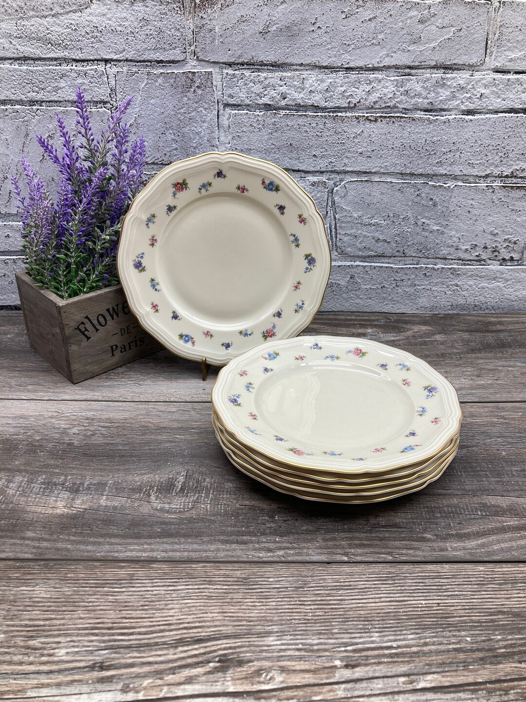 Rosenthal Selb-plossberg Chippendale 8 Plates Made in - Etsy