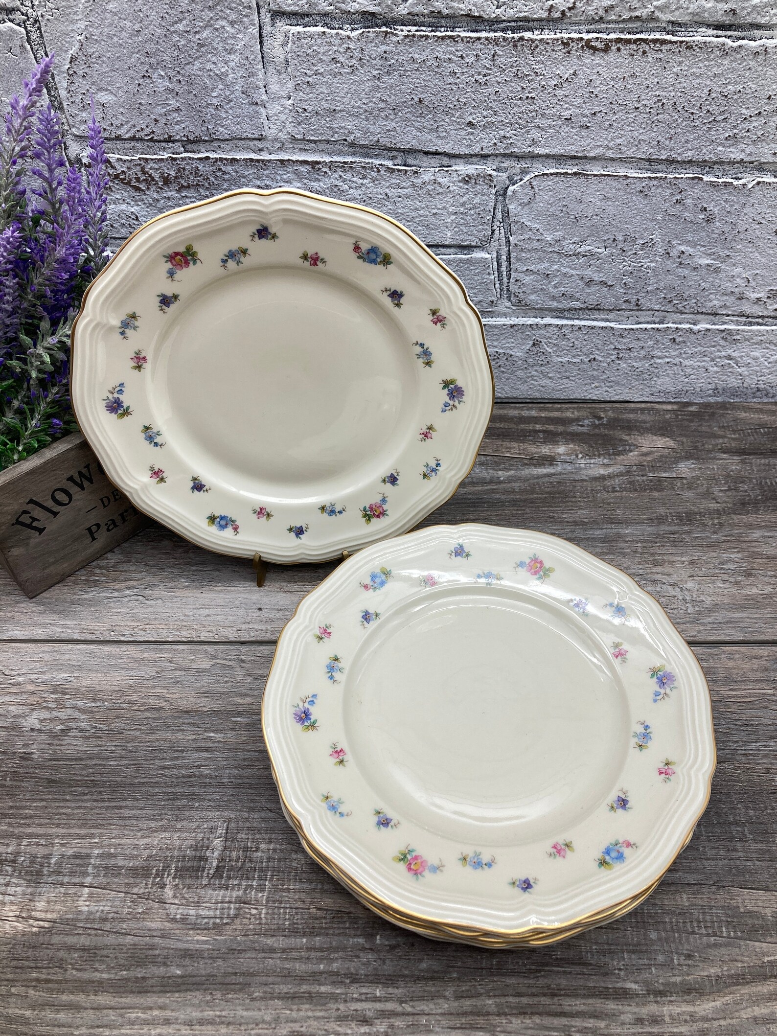 Rosenthal Selb-plossberg Chippendale 8 Plates Made in - Etsy