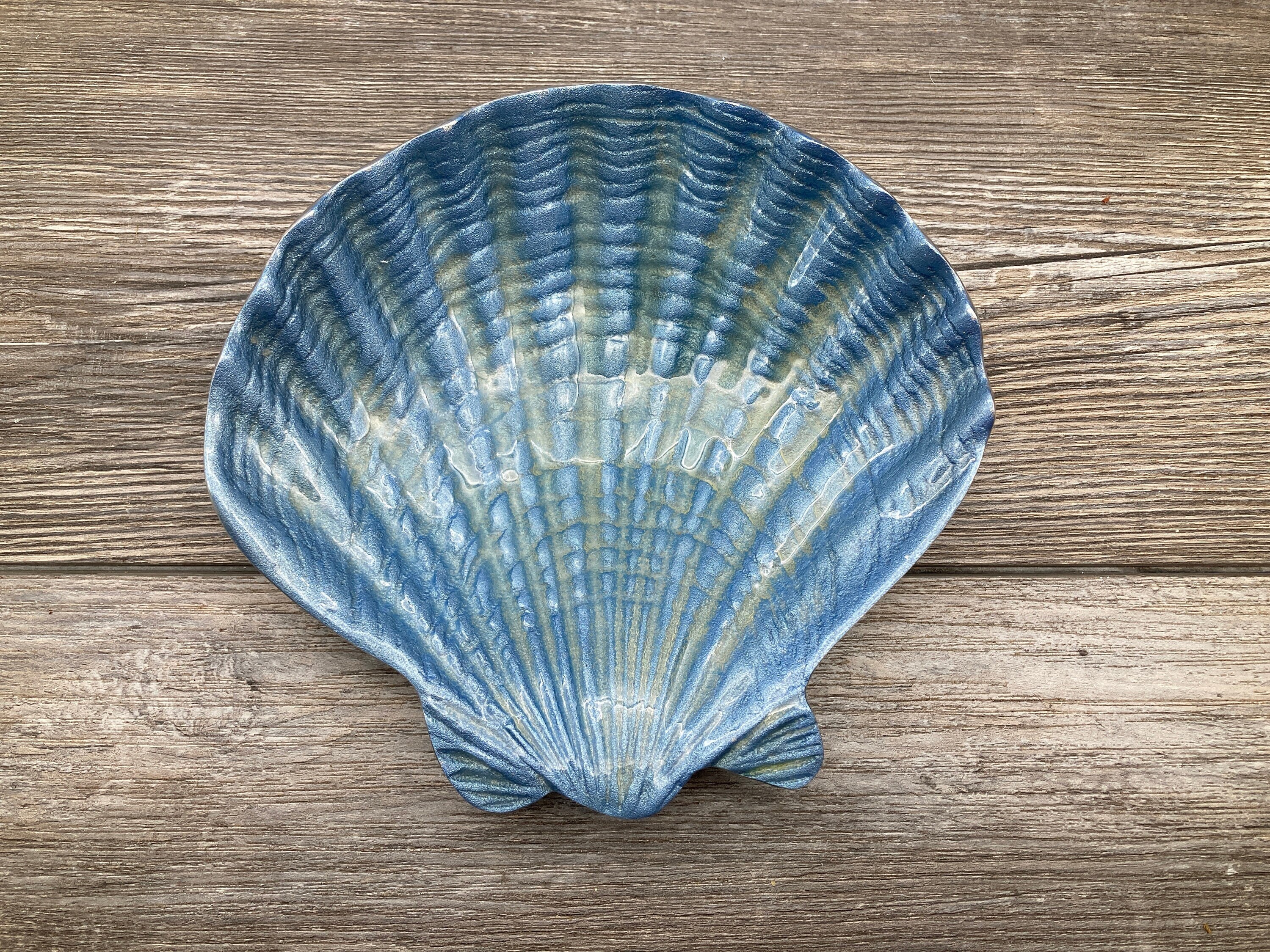 Blue Scallop Shell