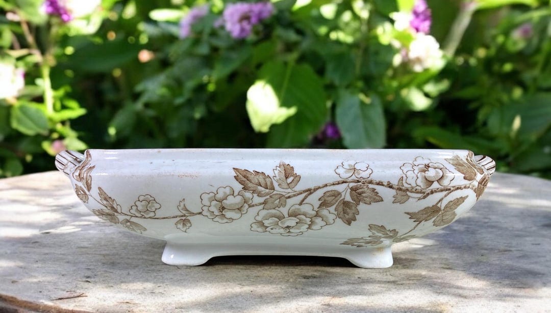 ANTIQUE JF Wileman Rectangular Serving Dish "victoria" Pattern Foley ...