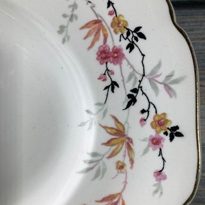 Rare Canonsburg Pottery Company Pattern~ Platter OR Dinner Plate OR ...