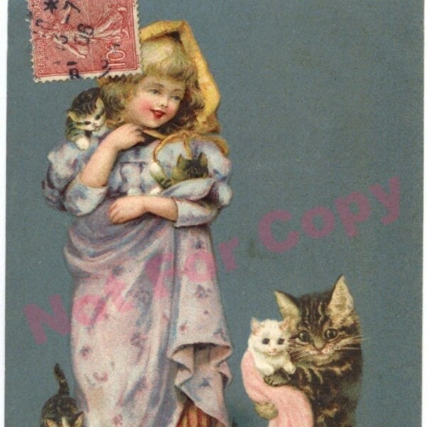 Helena Maguire Cats - Etsy